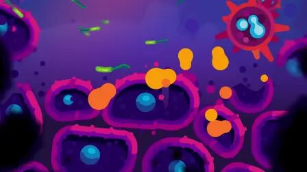 How the Immune System Works.pdf - 微盘下载 - 小不点搜索