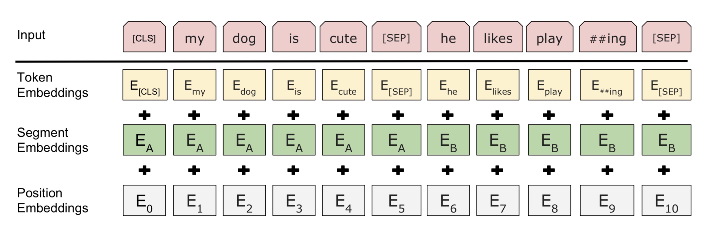 Bert 搜狗科学百科 
